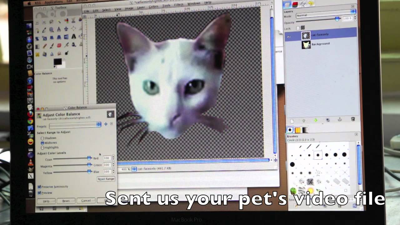 Animal Sound Piano Android - YouTube