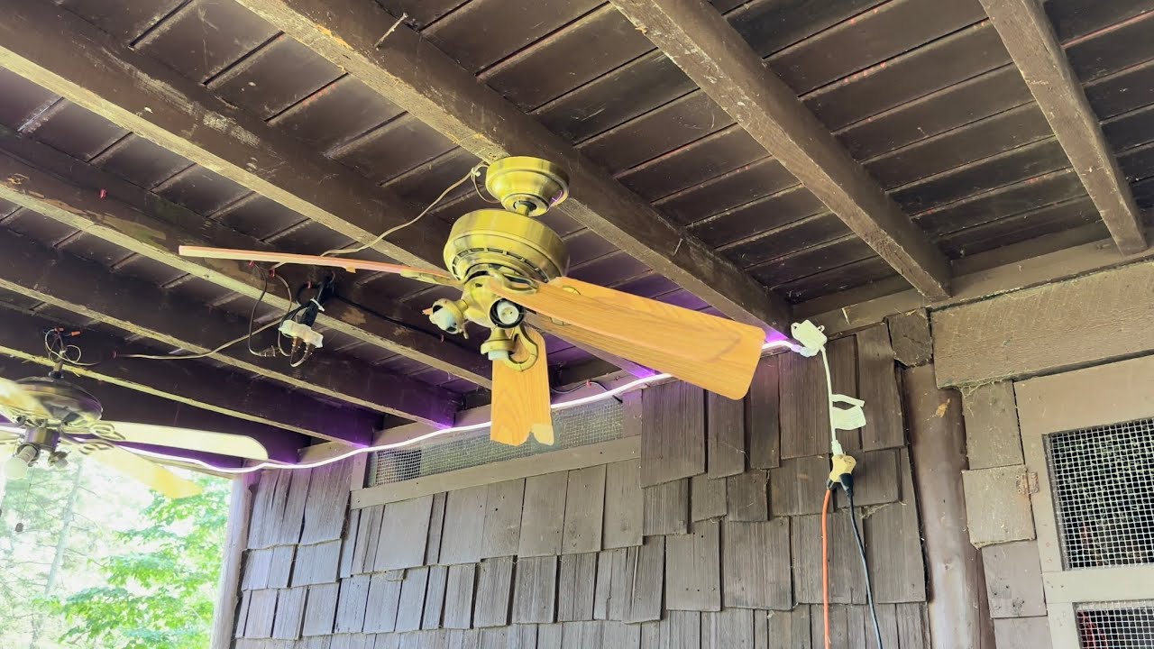 Ceiling Fan Destruction #49 - YouTube