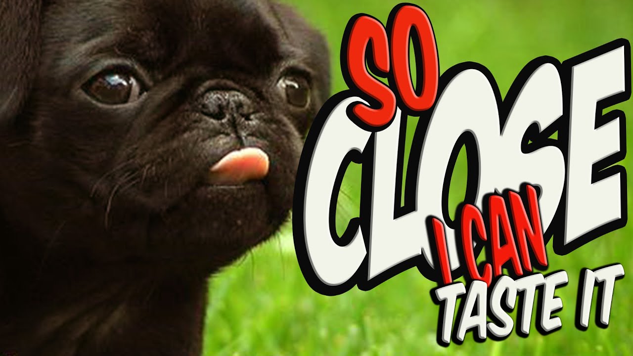 SO CLOSE I CAN TASTE IT - Xdefiant - YouTube