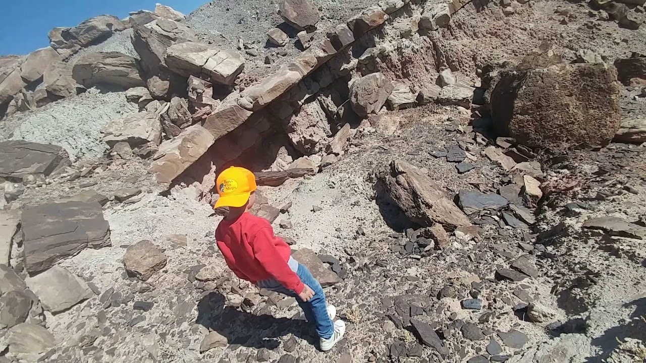 Hiking fun with Grant and Jackson at fossil point utah - YouTube