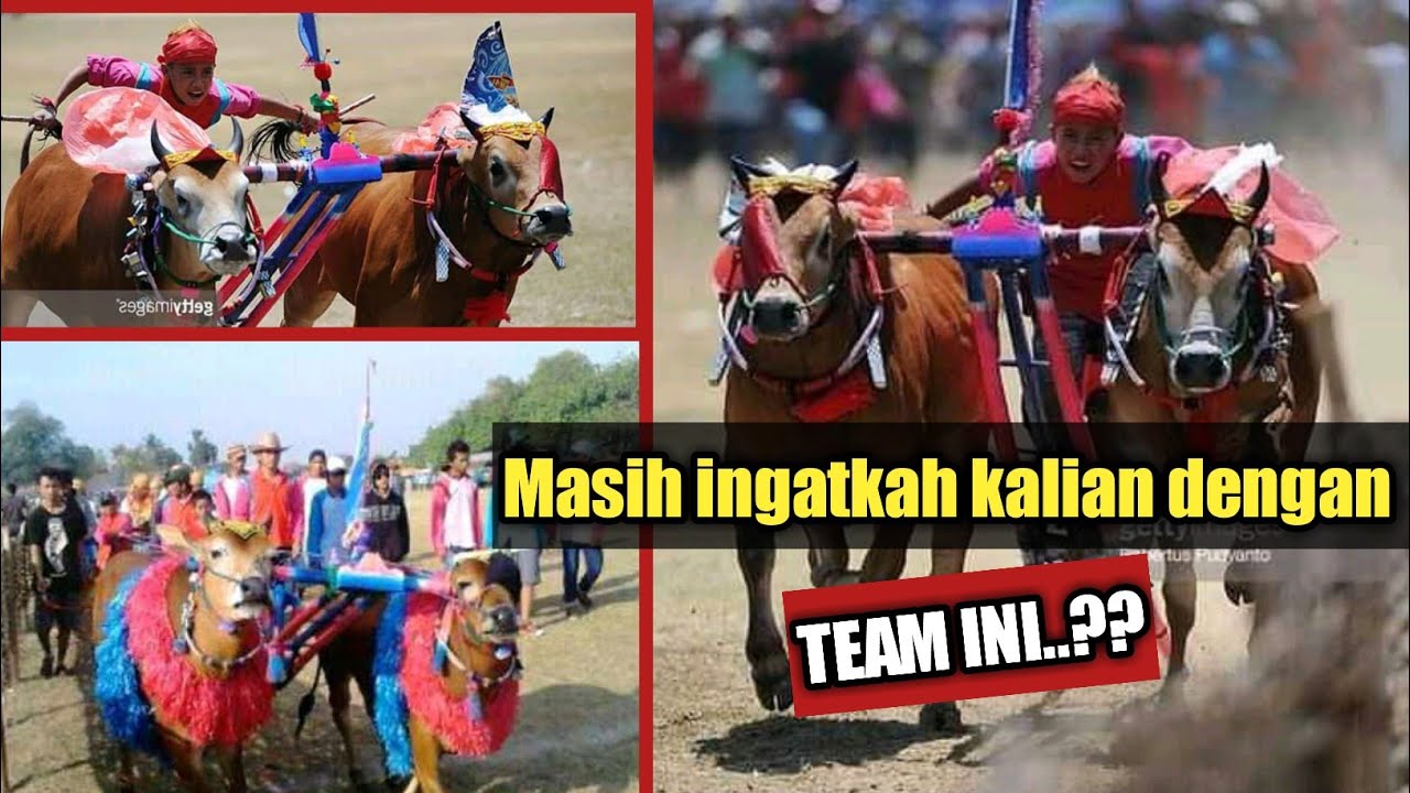 Masih ingatkah kalian dengan team BINTANG MADU..?? - YouTube