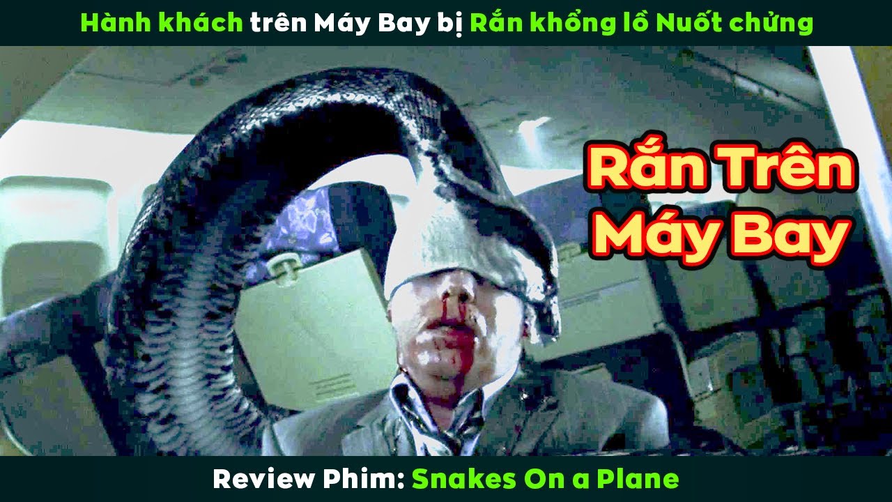 [Review Phim] Hàng Nghìn Rắn Độc Tấn Công Máy Bay Trên Không Trung ...