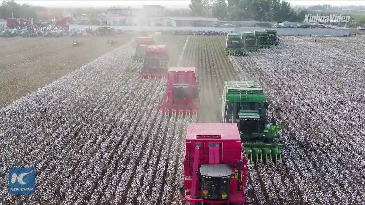 Spring seeding begins for cotton farmers in Xinjiang, China - YouTube