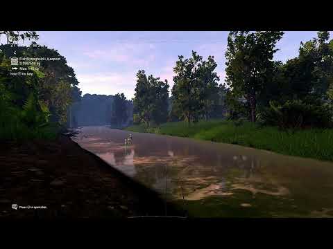 Unique Spotted Aracu at Marron River in Bolivia - Fishing Planet