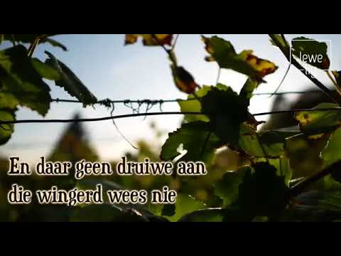 Al sou die vyeboom nie bot nie. - YouTube