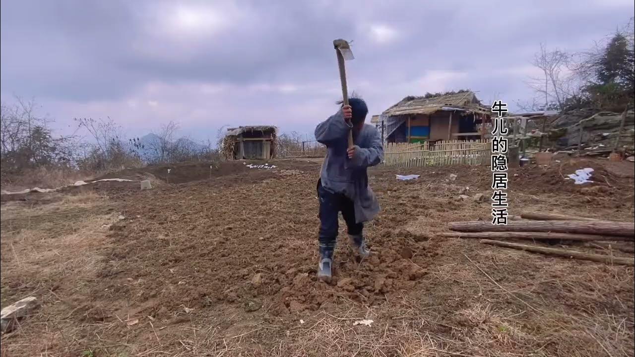 农村单身汉独自隐居深山过田园生活,每天自给自足好不快活。农村生活 修行 木屋 记录真实生活 Youtube