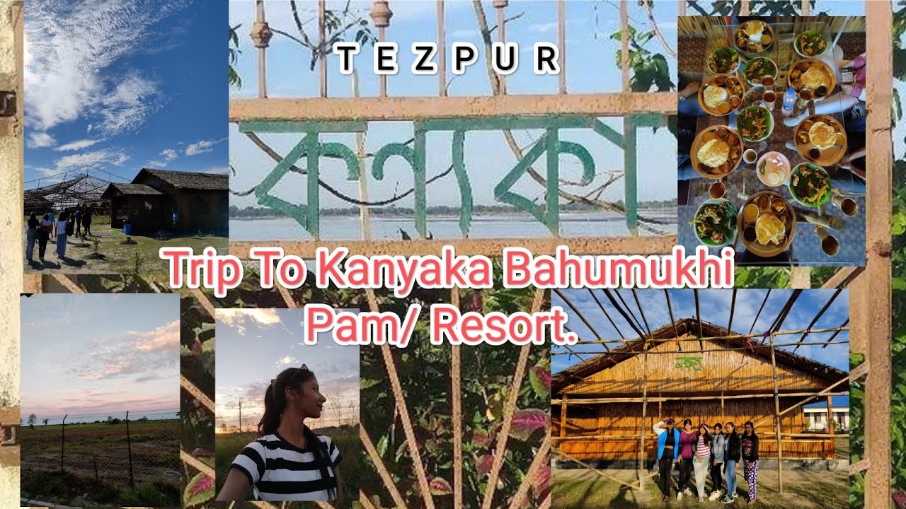 Field Trip To Kanyaka Bahumukhi Pam/ Resort | Botany Department | Arya ...