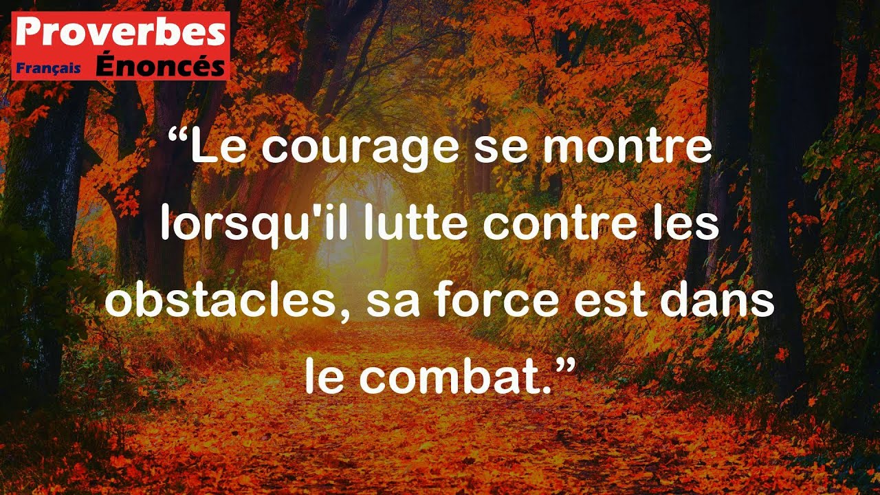 Proverbe Français - Le courage se montre lorsqu'il lutte contre les ...