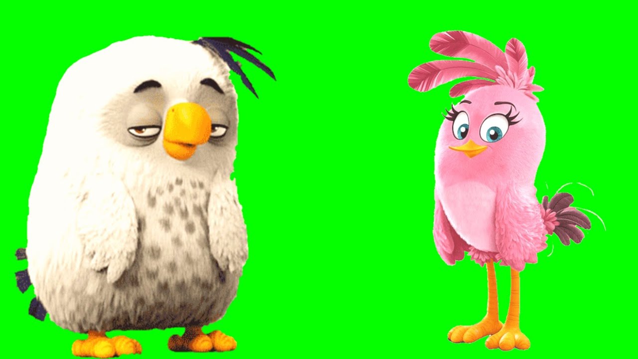 Cartoon birds green screen animations - YouTube
