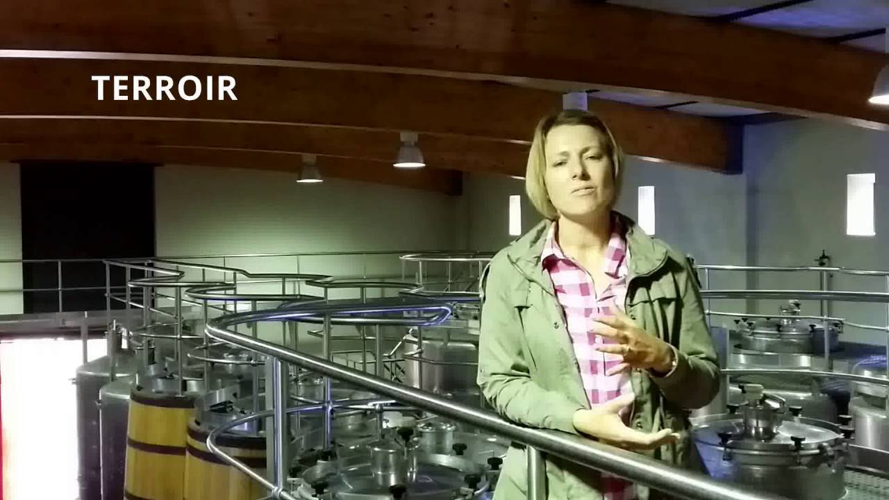 BOSMAN ADAMA WHITE & RED | Winemaker Corlea Fourie on this story of ...