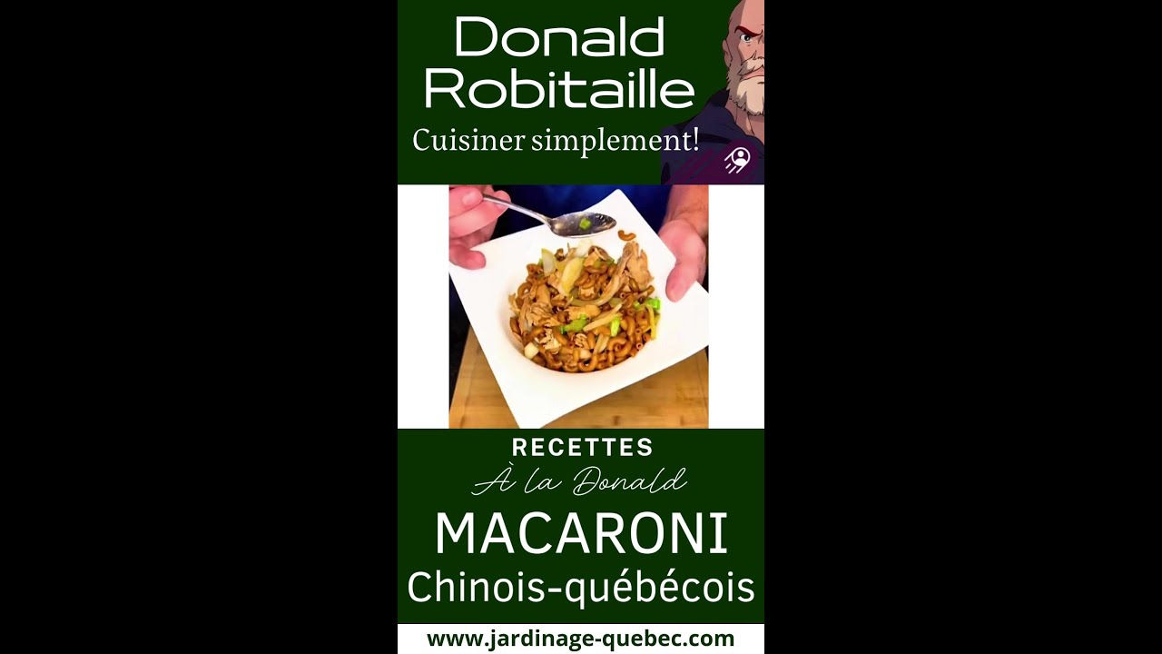 MACARONI CHINOIS QUÉBÉCOIS OU NOUILLES CHINOISES - RECETTES À LA DONALD ...
