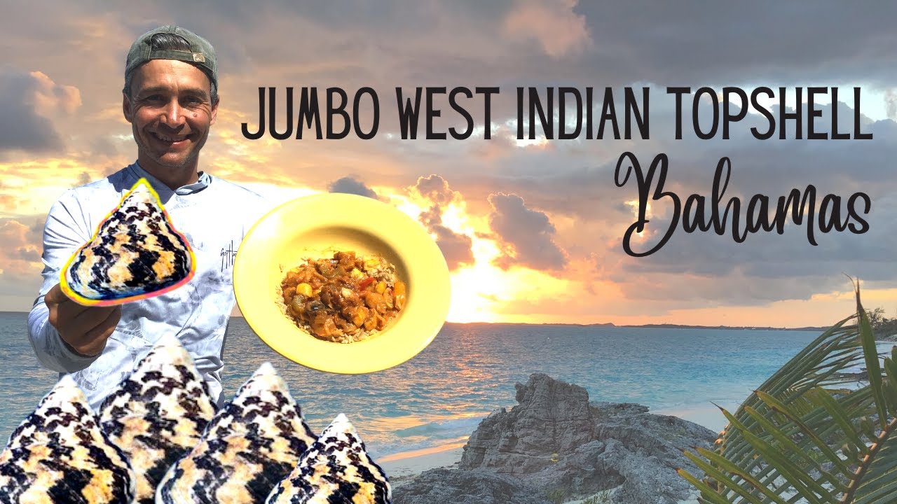 Bahamas West Indian Topshell {Catch Clean Cook: Thai Red Curry) - YouTube