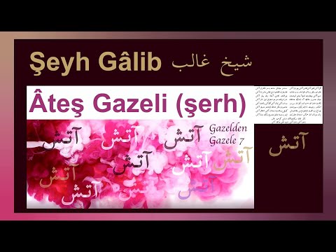 Şeyh Gâlib - Ateş Gazeli (Şerh) | Gazelden Gazele 7 • Fahri Kaplan