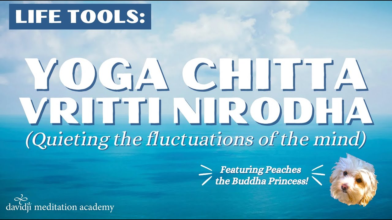 Life Tools: Yoga Chitta Vritti Nirodha | davidji - YouTube