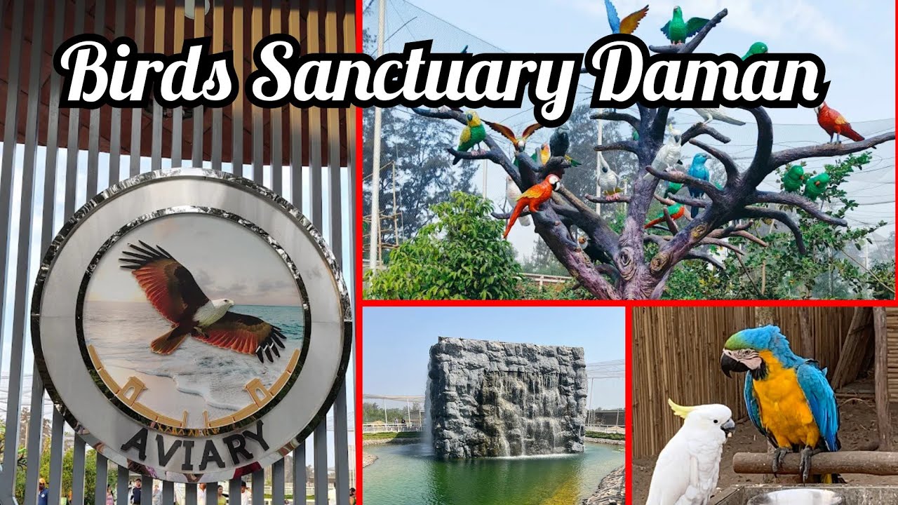 Birds Sanctuary, Aviary, Daman - YouTube