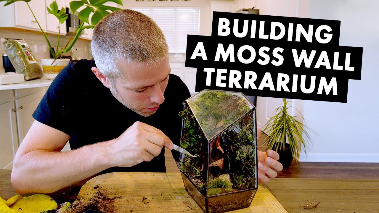 Designing and building a geometric moss wall terrarium. - YouTube