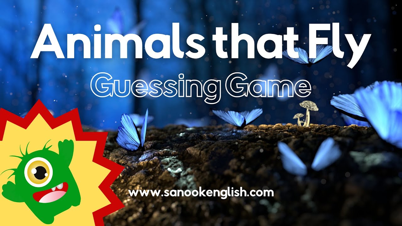 Animals that Fly English Vocabulary Guessing game - YouTube