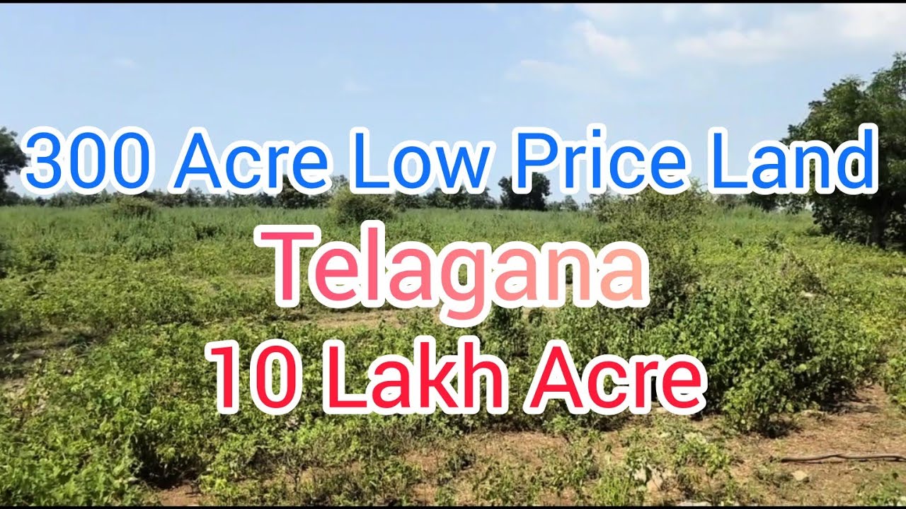 300 Acre Low Budget Land For Sale | Low Price Land For Sale in ...