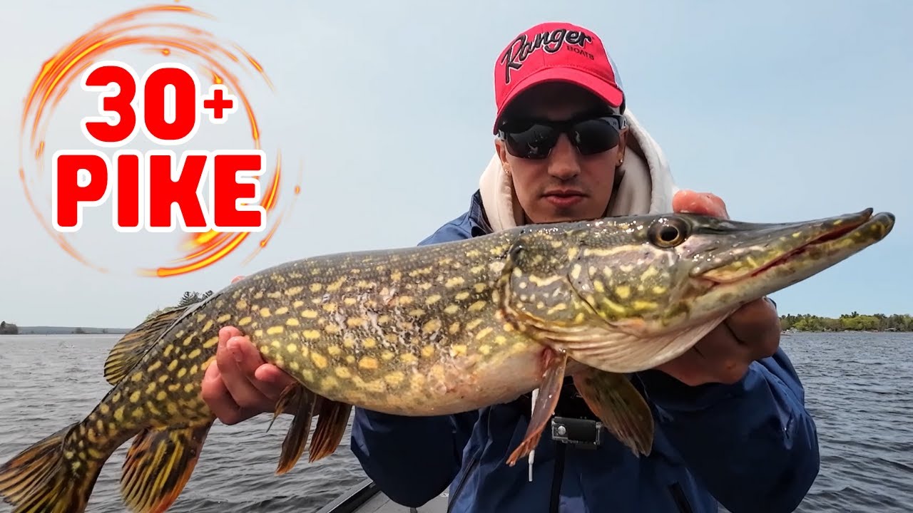 Georgian Bay Spring Pike Fishing - YouTube