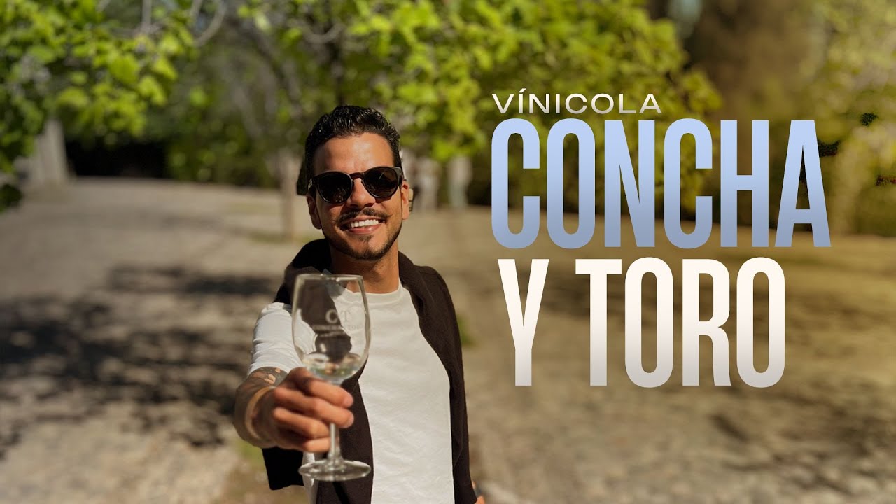 Tour e degustação na Concha y Toro | A maior e mais admirada Vinícola ...