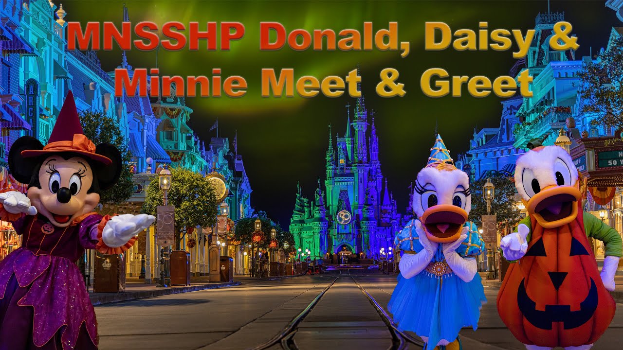 8K MNSSHP Donald, Daisy & Minnie Meet & Greet in Magic Kingdom VR180 3D ...