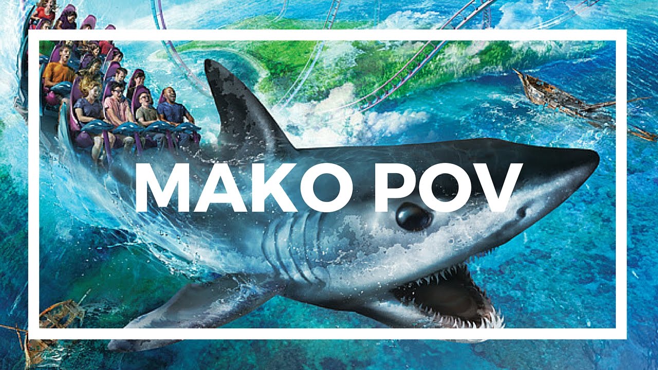 MAKO COASTER POV AT SEAWORLD ORLANDO - YouTube