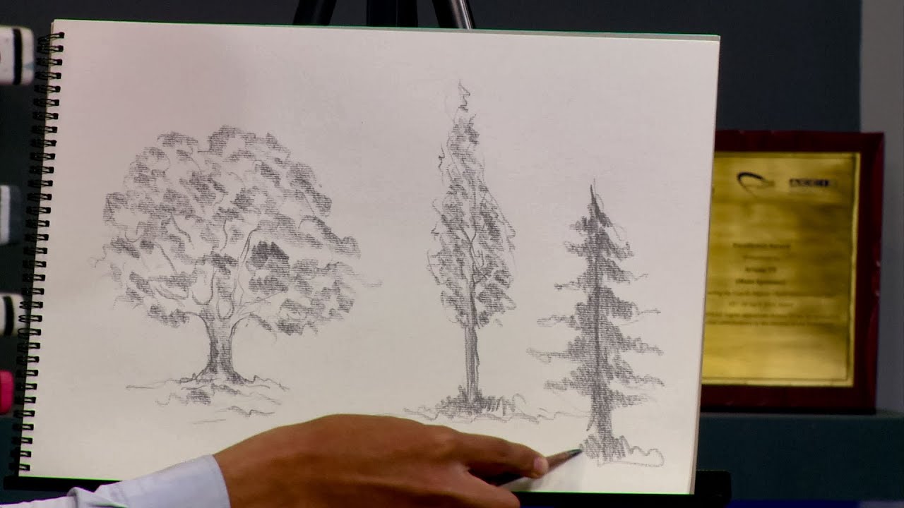 How to draw trees, with Ahmad Siar | آموزش رسامی درختان توسط احمد سیر ...