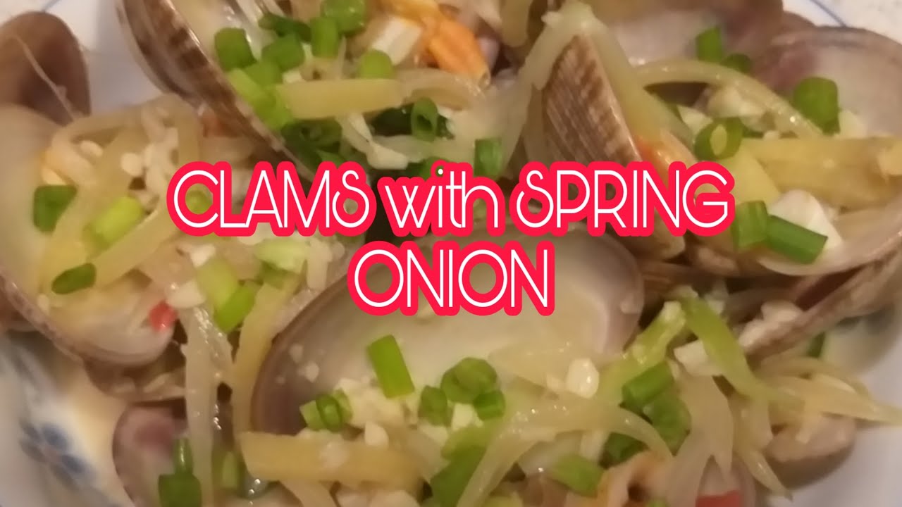 CLAMS WITH SPRING ONION || CLAMS SIMPLE RECIPE || KATIE'S VLOG - YouTube