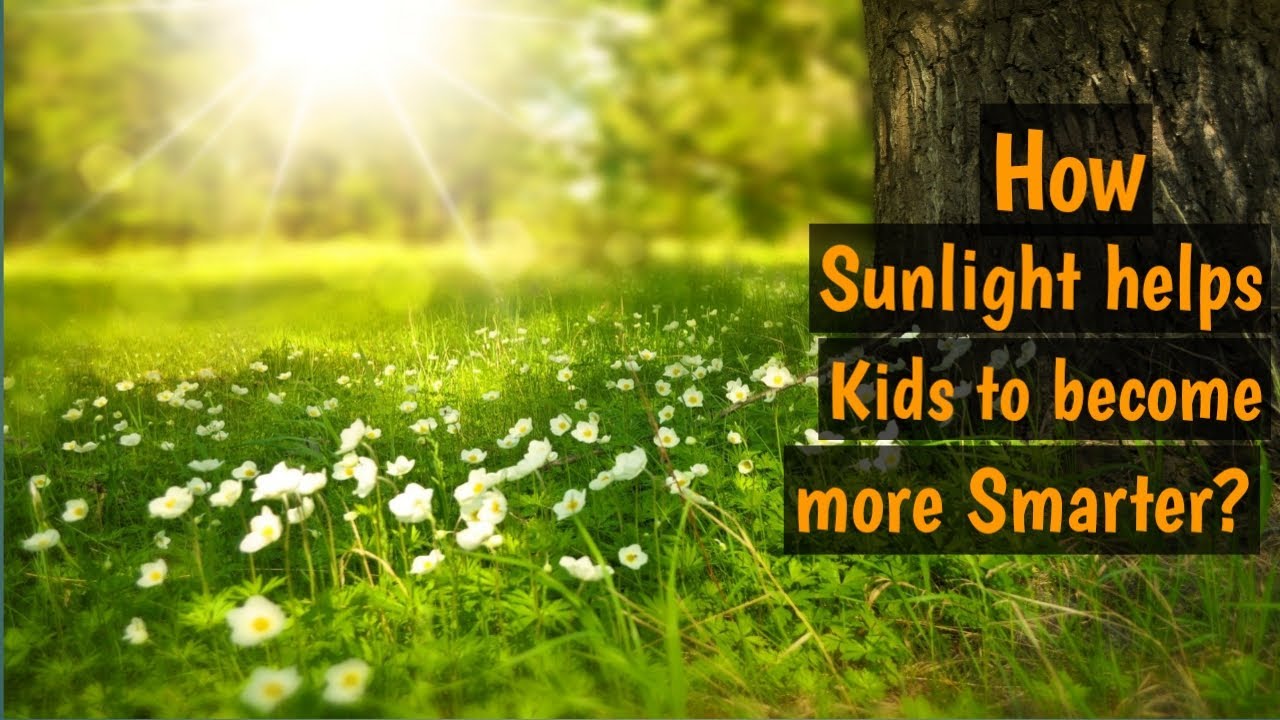 How Sunlight helps Kids to become more Smarter? | Sunlight Benefits to ...