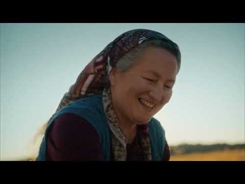 Mutluluk Sensin Aslında Yanındayız Her Anında