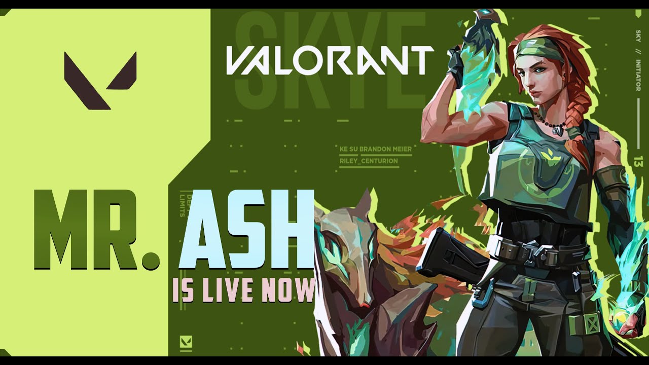 Let me show you some noob gameplay | Mr. Ash Valorant India Live - YouTube