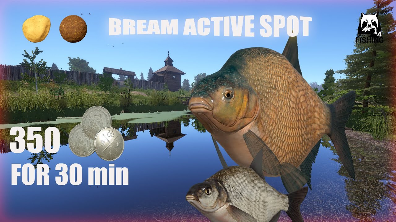 Russian Fishing 4 RF4 Old Burg Lake | Super active spot Bream + Trophy ...
