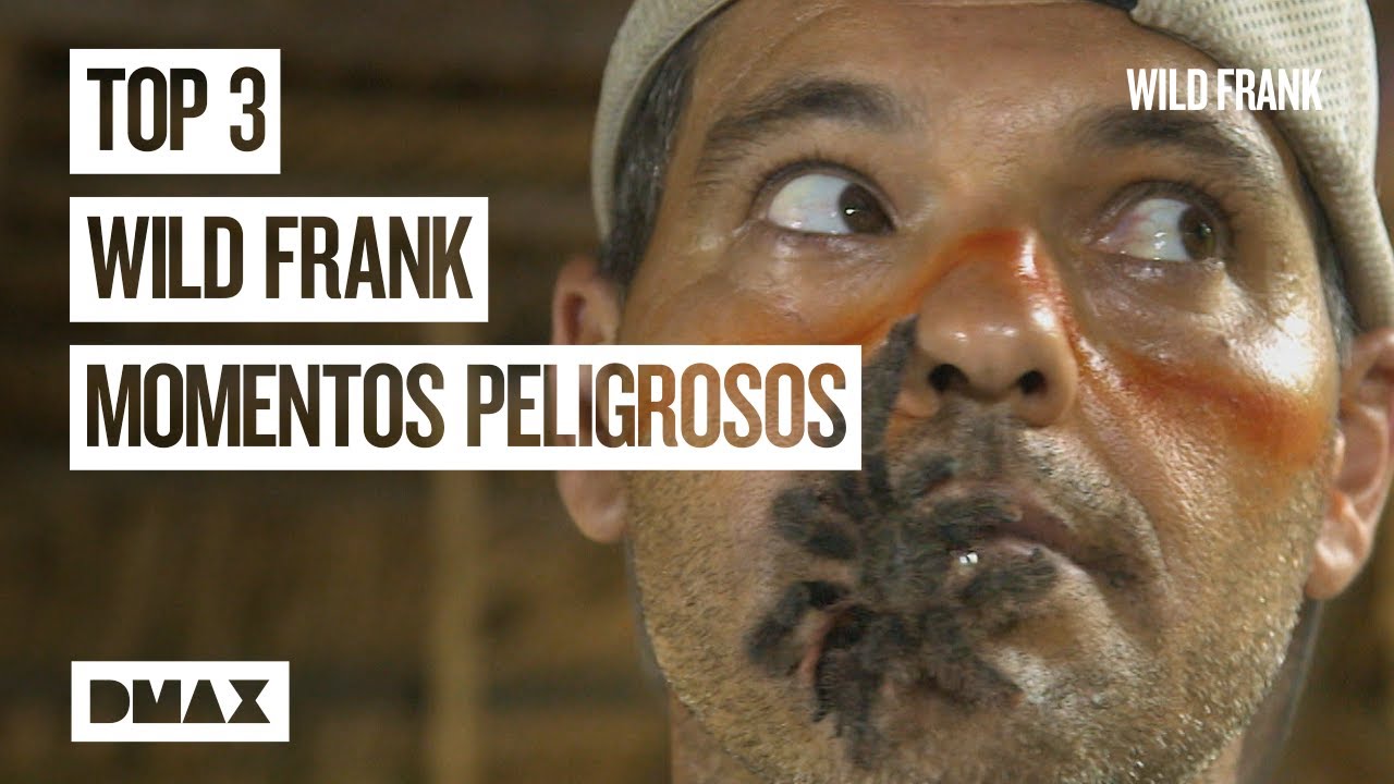Wild Frank entre tarántulas y víboras | Wild Frank en Brasil - YouTube