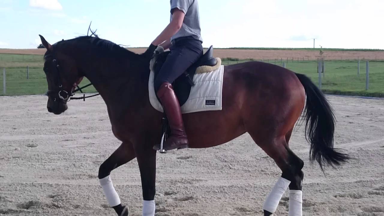 Lotta v. Hirtentanz / Arrak - YouTube