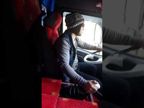 çılgın seksi procu.