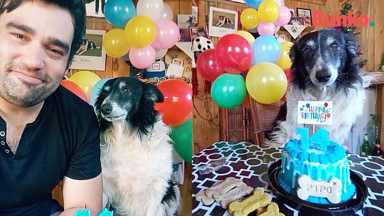 Las emotivas palabras que su dueño le dedicó a Pipo, un hermoso perro ...
