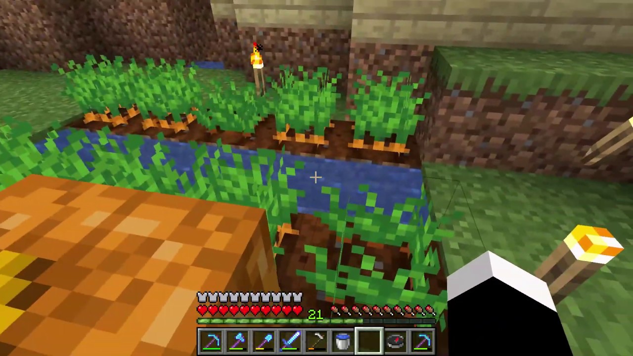 How To Make A Carrot Farm Minecraft YouTube how-to-make-a-carrot-farm-minecraft-youtube