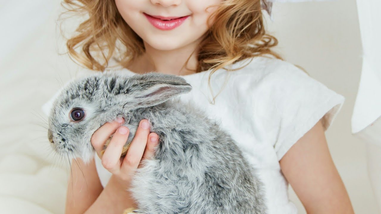 cute little girl - YouTube