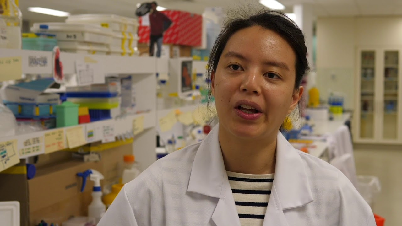 Bupa Health Foundation Emerging Health Researcher Award 2018: Dr ...