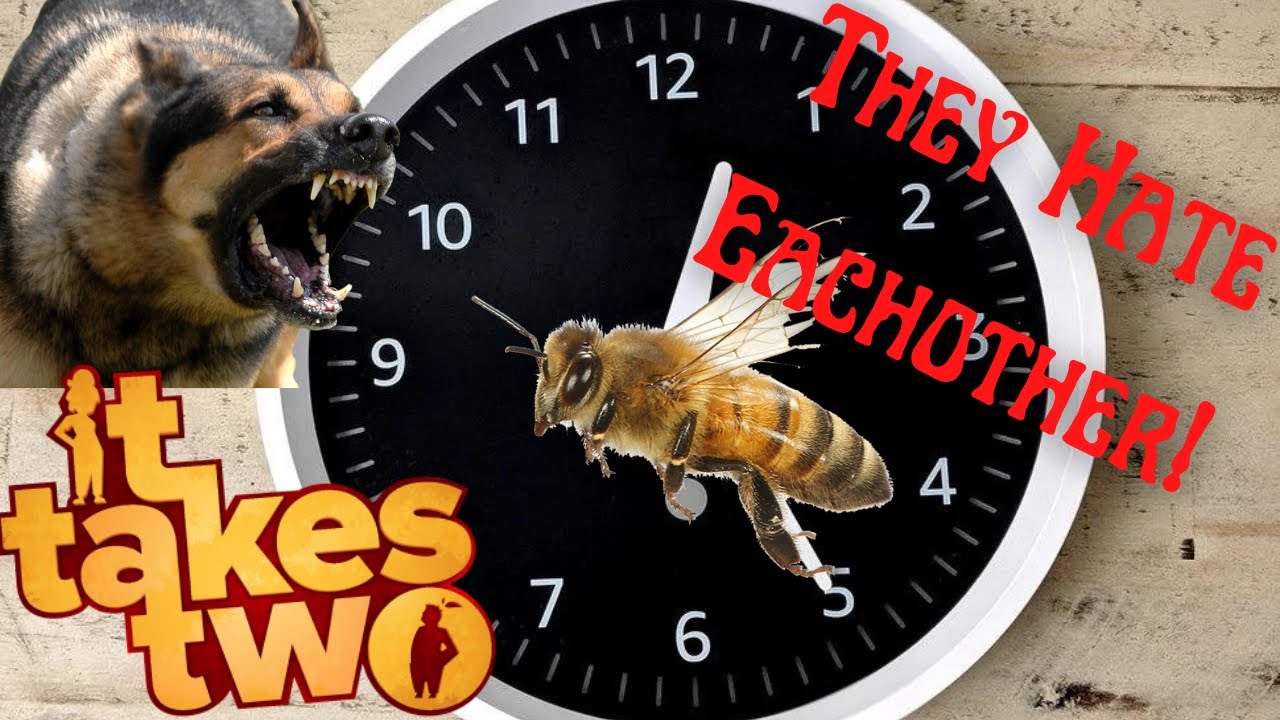 Mortal Enemies - YouTube