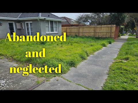 ABANDONED house clean up | part 1 - WET and OVERGROWN front yard. - YouTube