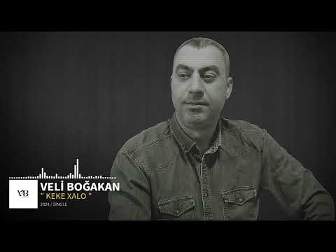 Veli Boğakan / \