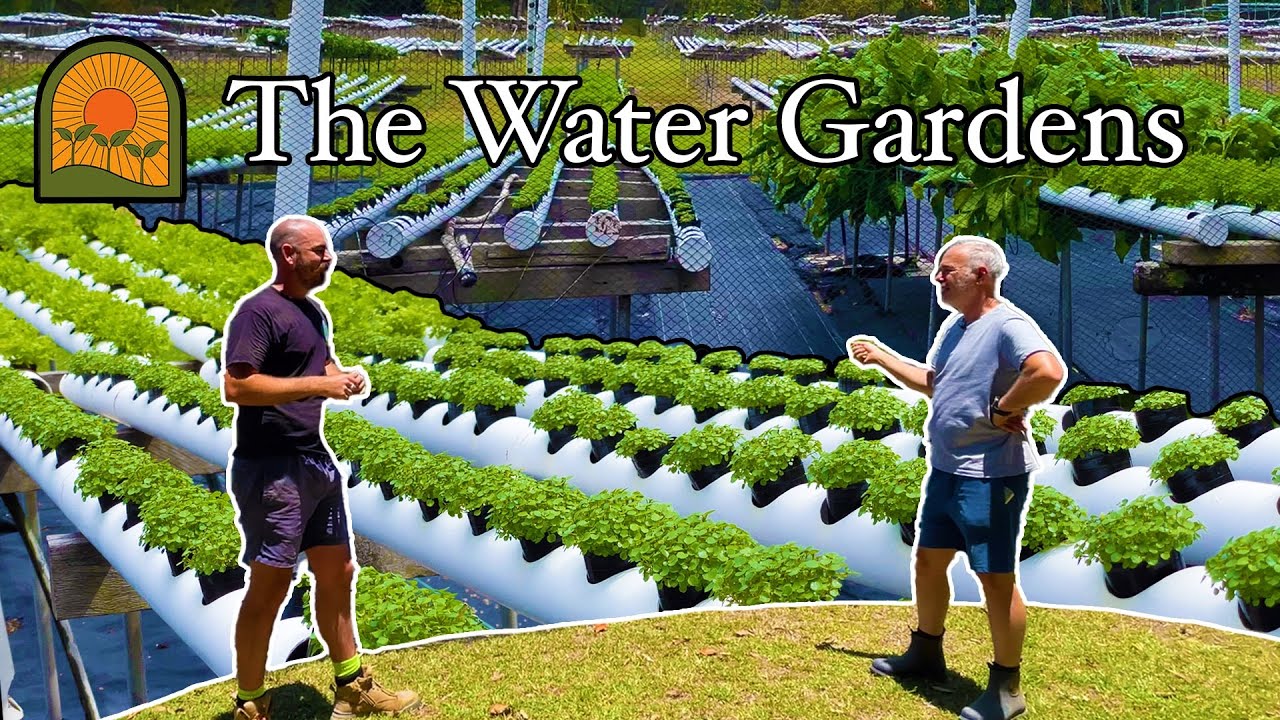 Managing a Hydroponic Herb Farm: The Water Gardens Tour - YouTube