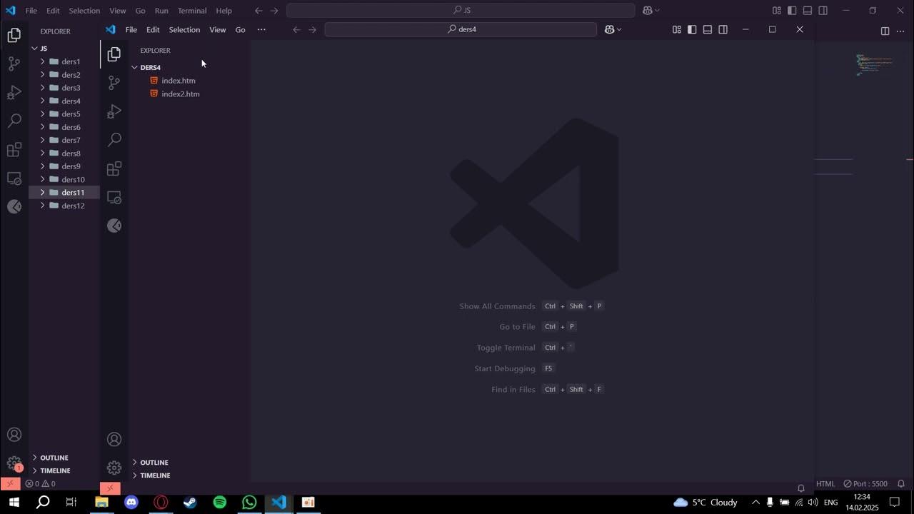 JS - oninput, flag, atb task - YouTube