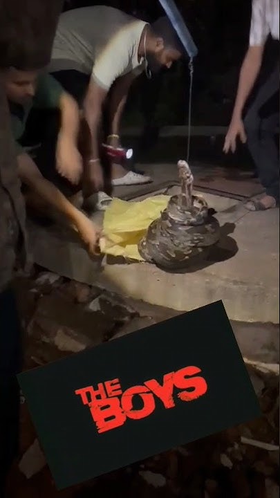 Python / Kondachiluva saved by the #local #vizag #boys #theboys #shorts #like for the effort ...