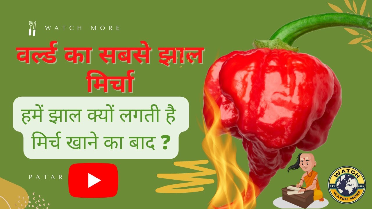Hame Jhal kyo lagti hai | duniya ka sabse jhal mircha | fact about ...