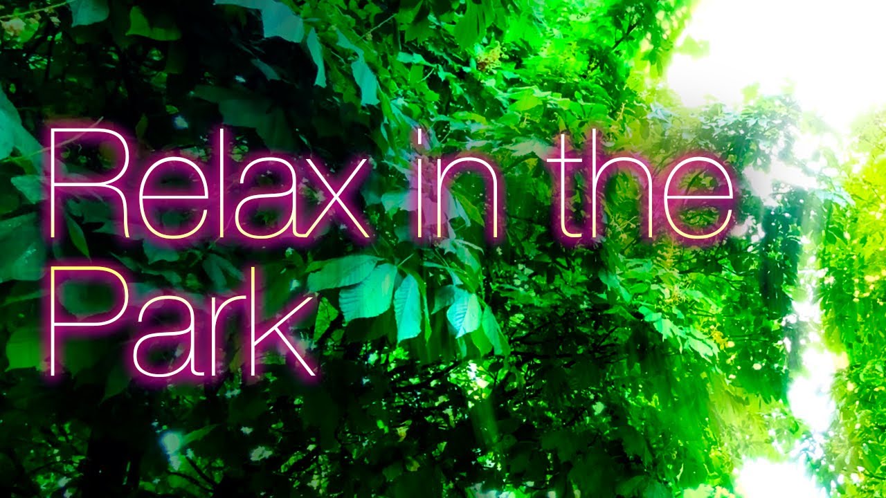 Relax in the park. Visual and Soothing Moment in a park. Relax 4K. 2.76 ...