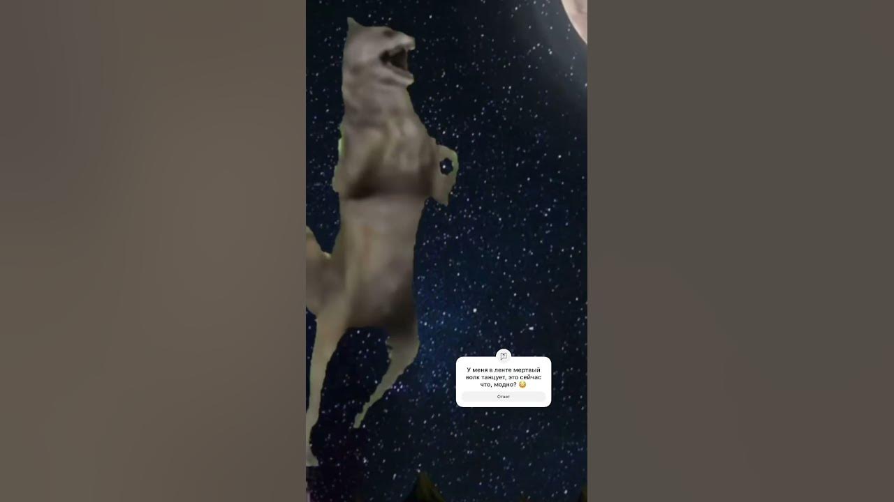 Волк 🐺 танцует 💃 под ихвильнихт - YouTube