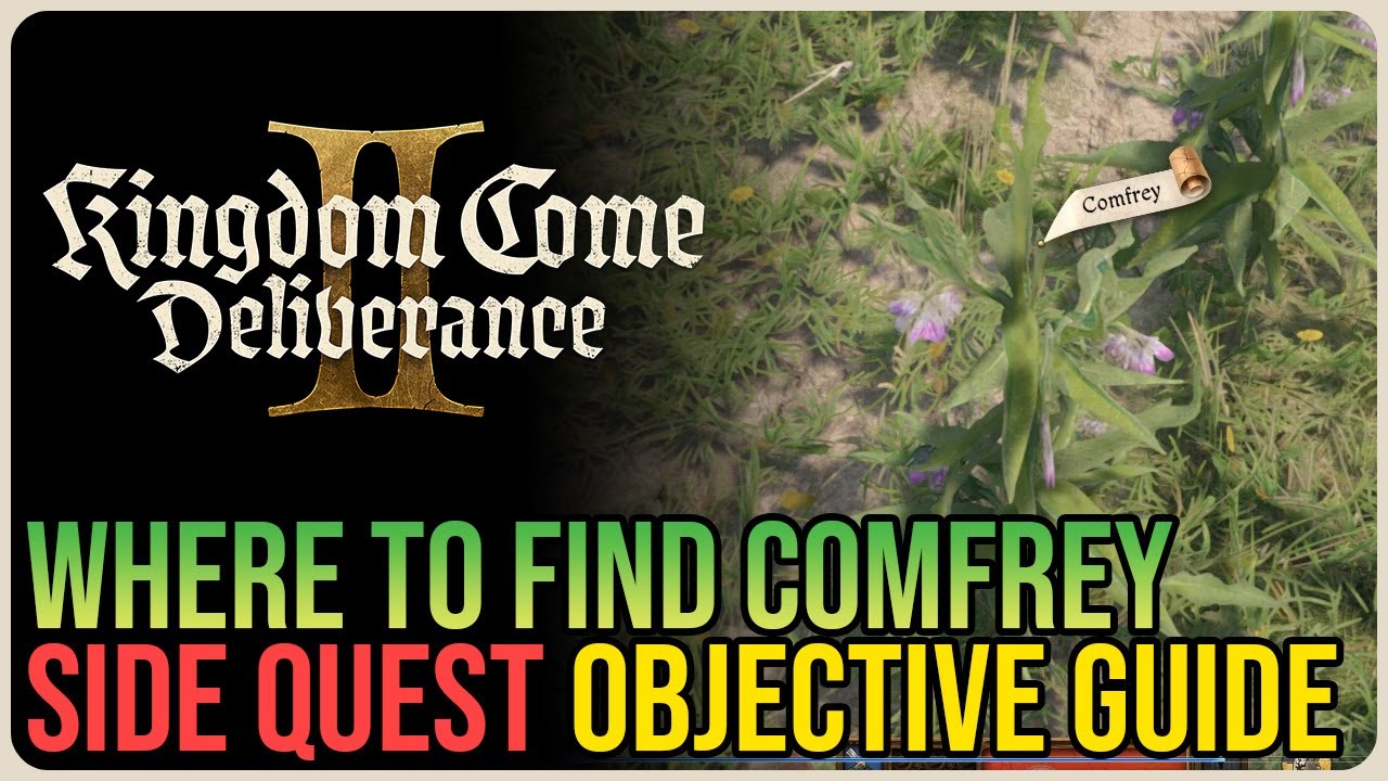How to Get Comfrey Kingdom Come Deliverance 2 - YouTube