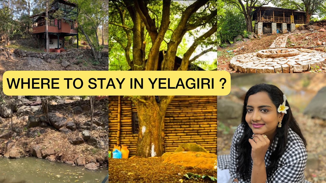 Where to stay in Yelagiri ? A relaxing stay at Yelagiri | Staycation ...